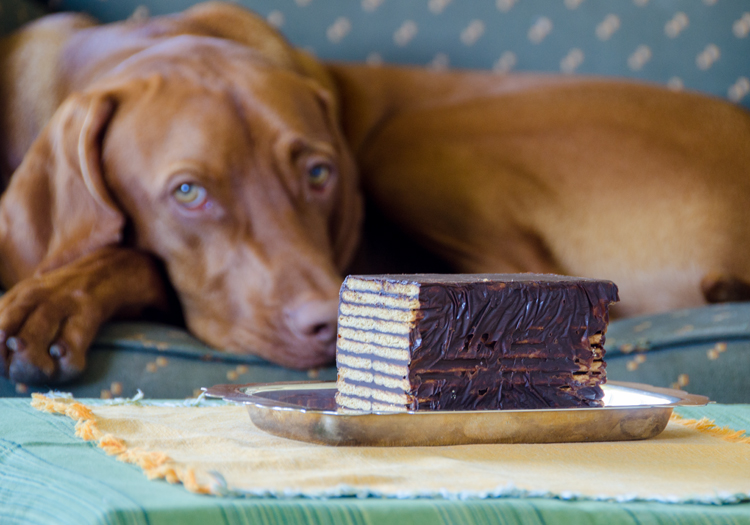 No-Bake Chocolate Cake (Kalter Hund) | Spoonfuls of Germany