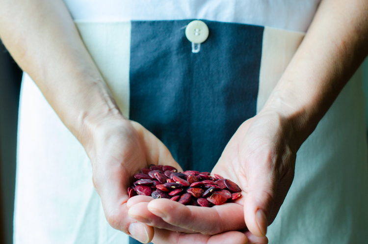 Red lima beans | Spoonfuls of Germany